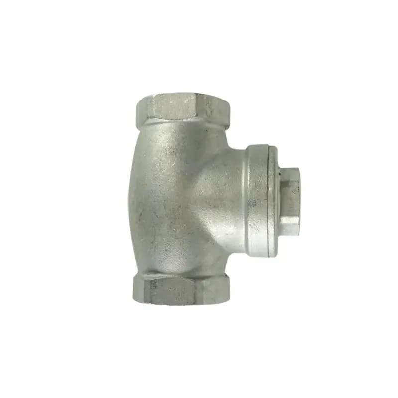 Threaded Swing Check Valve | Epic Valve