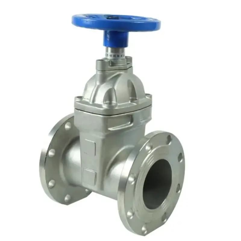 Flanged Non Rising-Stem Gate Valve | Epic Valve