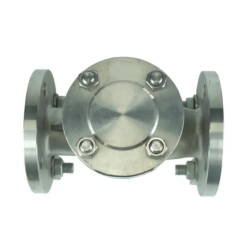 Spring Check Valve | Epic Valve