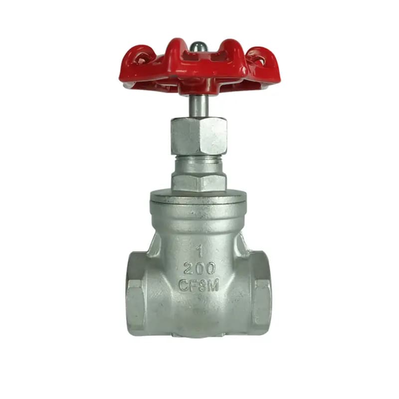 Threaded Two Way Gate Valve | Epic Valve